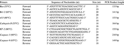 Forward And Reverse Primer PCR Sequences For Real Time PCR Download Table