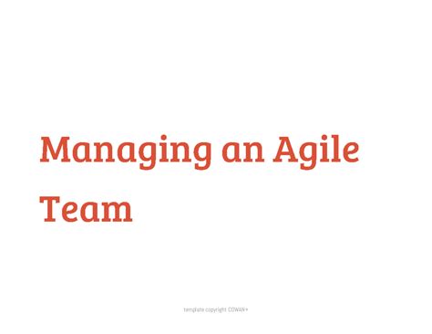Managing An Agile Team Peer Reviewed Assignment Managing An Agile