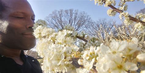 Roger Wright Singersongwriteractor