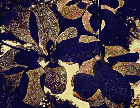 Resplendence In Bronze Digital Art By Paul Guerette Fine Art America