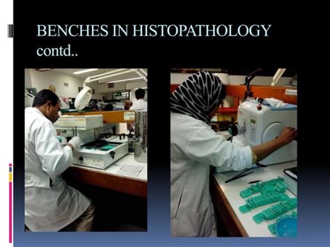 Histopathology Ppt Templates Free Power Point Template Ppt Template