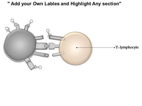 Top 10 Immunization Powerpoint Presentation Templates In 2026