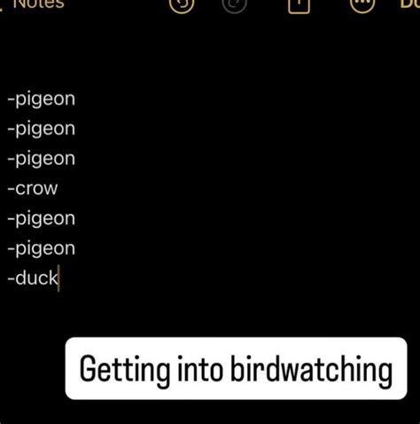 New Birdwatcher Basic Observation List Meme Gagbase Ai Powered Meme