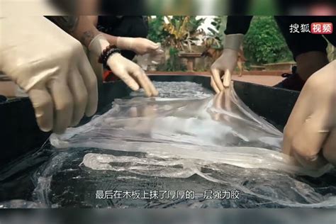 小伙挑战世界上最黏的胶水，结局你猜怎么着？看完笑出腹肌！