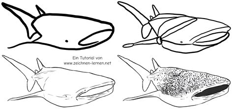 Dibujos A Lápiz De Tiburones How To Draw Flower Shark Drawing
