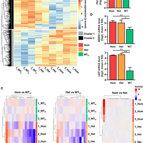 Rna Seq Experiments Of Ipsc Derived Mks Of Calrins5 Mutated Clones A