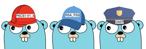Golang Example Rsa Witxyz Medium