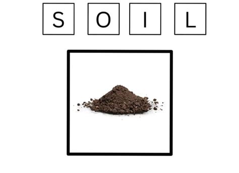 Gardening Themed Language Cognitive Treatment For Slp Aphasia Vnest Sfa