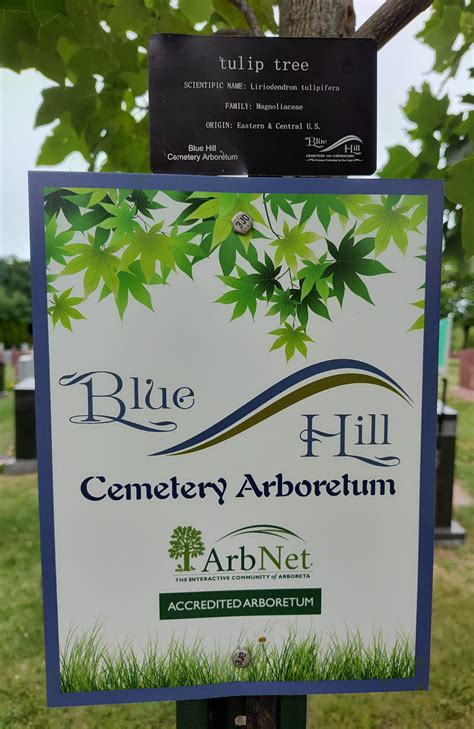 Arboretum Landing Page Blue Hill Cemetery And Crematory