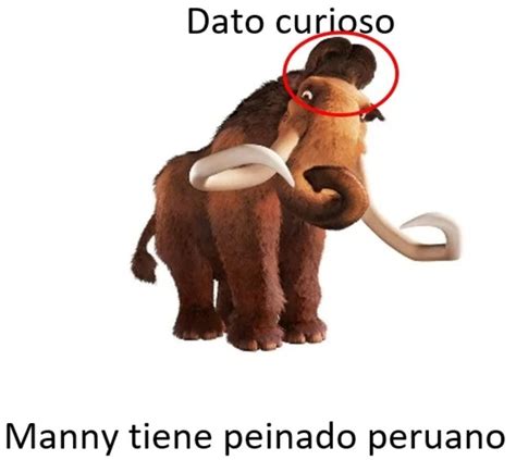 Peruano Aesthetic Rlmdshow