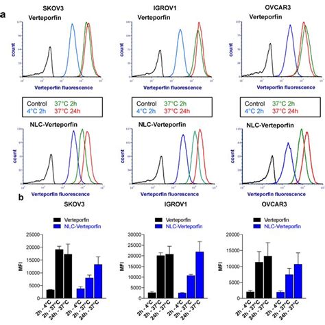 Verteporfin And Nlc Verteporfin Interact With Ovarian Cancer Cells Download Scientific Diagram