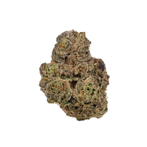 Buy Rotten Teeth 35g Flower 35g Flower Online Zen Leaf Neptune Nj