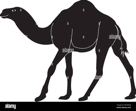 Camel Logo Vector Illustration Design Stock Vector Image And Art Alamy