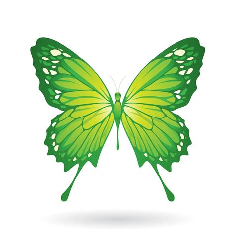 Ilustración De Mariposa Verde Vector Premium