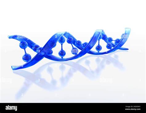 Dna Molecule Computer Artwork Of A Molecule Of Dna Deoxyribonucleic