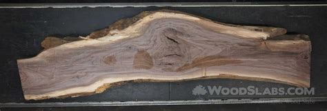 Black Walnut