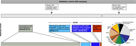 Validation Of The Sarcoma Classifier In Total 426 Independent Sarcoma Download Scientific