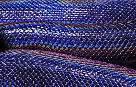 getting started with python course notes by eslam shoaala medium