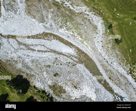 Stony River Bed In High Summer Season Surrounded By Green Alpine
