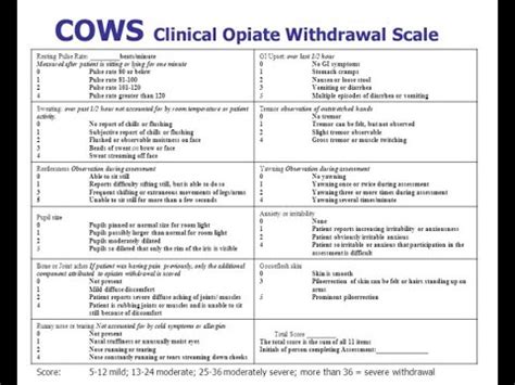 Cows Opioid Withdrawal Scale Scoring And Interpretation Guide