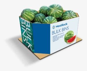 A Blue And White Large Bulk Bin Container Holding Watermelons