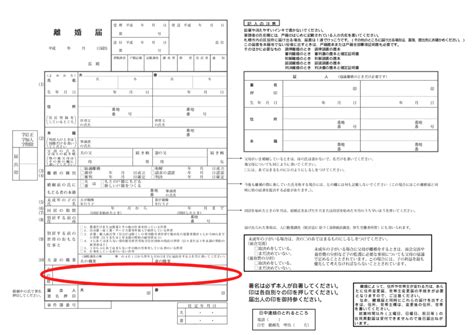 離婚届書き方子供複数 離婚届 記入例 法務省 Jgdri