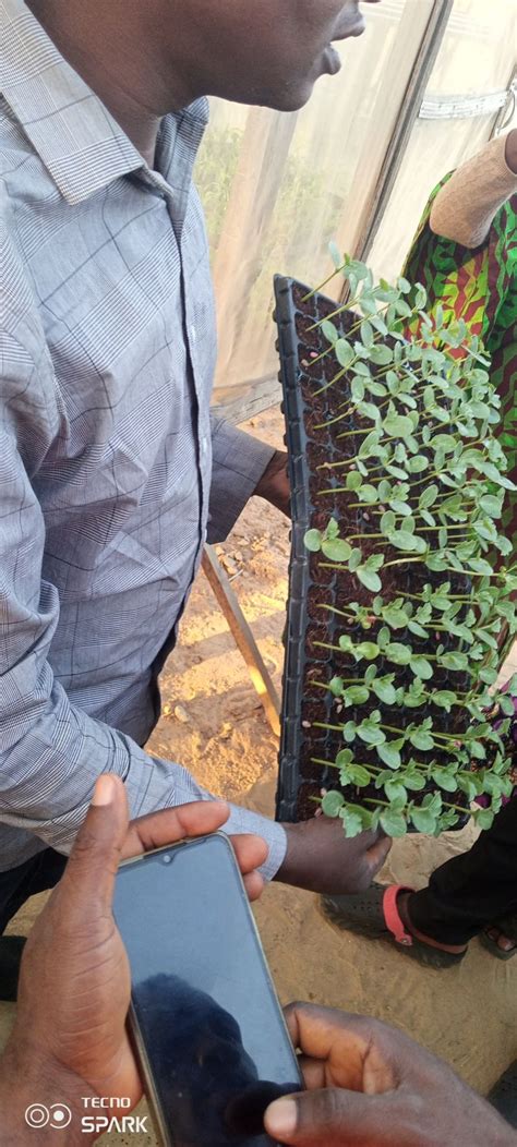 Aina Taiye Godwin On Linkedin Dataanalysis Learningandgrowing Datacamp Datascientist