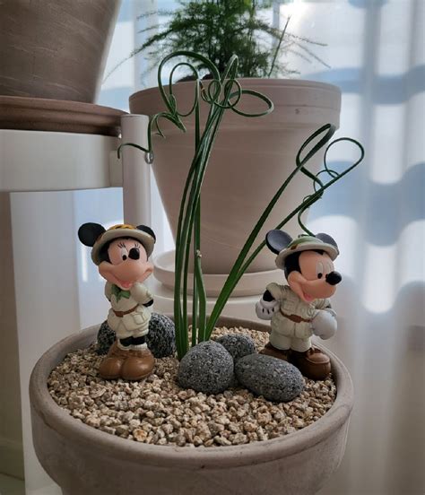 📷💚 콜리colley