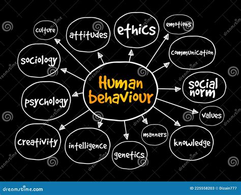 Human Behaviour Mind Map Concept For Presentations And Reports Stock Illustration