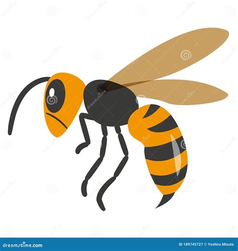 Hornet Illustration On White Background Cartoon Vector Cartoondealer