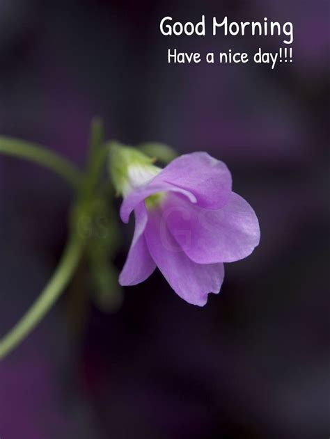 Pin Van Arun Op Good Morning