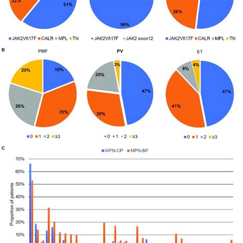 Molecular Landscape In Mpn Cp And Mpn Bp Panel A Reports The