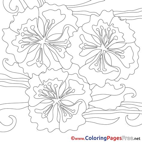 Flowers Printable Coloring Pages Summer
