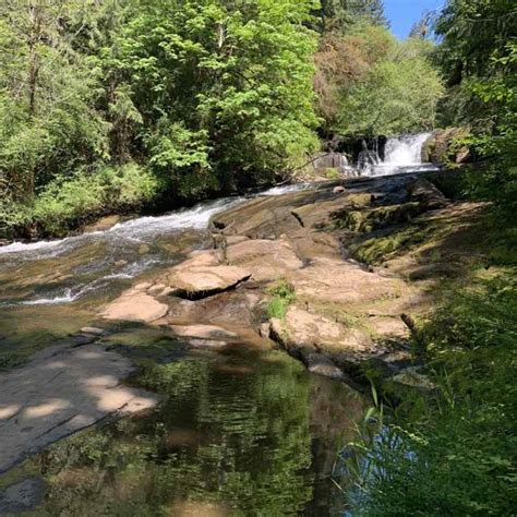 Alsea Falls Trail Hiking Trail Maps Difficulty Trail Status Onx