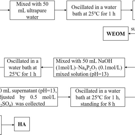 Sequential Extraction Steps Of The Chemical Components Of Som And Spom Download Scientific Diagram