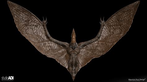 Rodan Image Gallery Wikizilla The Kaiju Encyclopedia