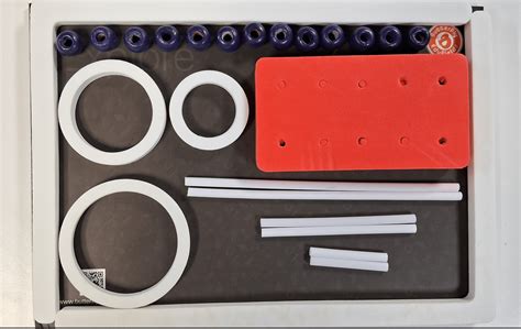 Heredity And Evolution Biology Project