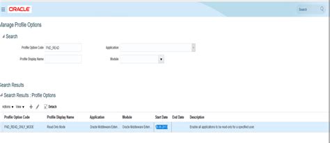 how to define read only access in oracle fusion my techno journal