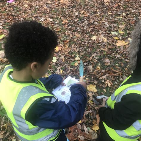 Year 2 Forest School Building Habitats Lauriston Primary School