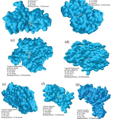 Binding Affinity Assay Between Active Compounds And Proteins Docking
