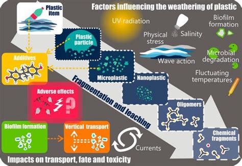 Would You Like A Side Of Plastic With That Scientific Scribbles