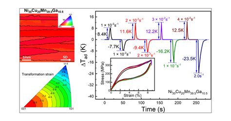 Giant Elastocaloric Effect In Ni Mn Ga Based Alloys Boosted By A Large