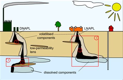 Illustration Of Typical Spreading Behaviour Of Lnapls And Dnapls 1 Download Scientific