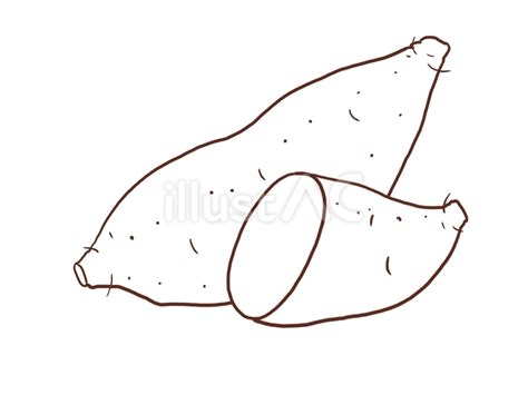 Free Vectors Sweet Potato Line Drawing