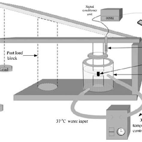 Diagram Of The Loading And Creep Strain Instrument Lvdt Linear