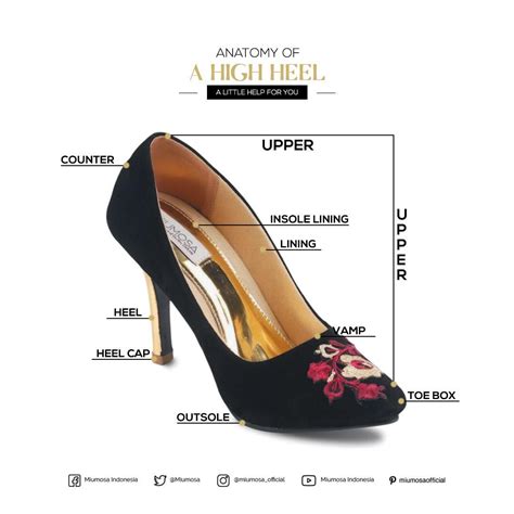 A High Heel Anatomy