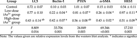 Effects Of The Protein Expression Of Pten Lc3 Beclin 1 α Sma And
