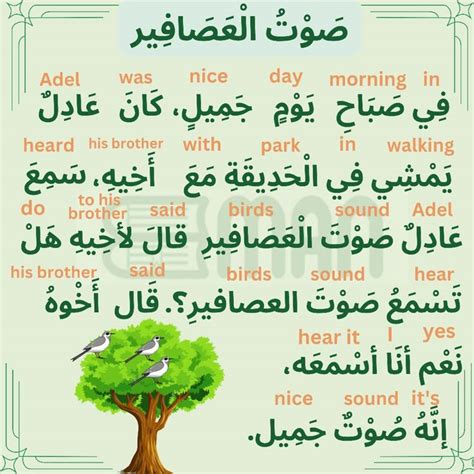 Short Arabic Story With English Translation Practice Reading التدرب