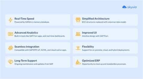 Sap Data Migration A Complete Guide With Best Practices 2025