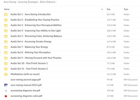 Download Aura Seeing Learning Strategies Bri